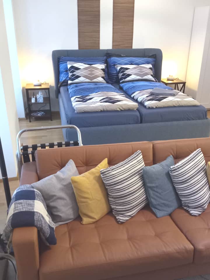 Beautiful Flat, Old City, Free Bus - Lucerne