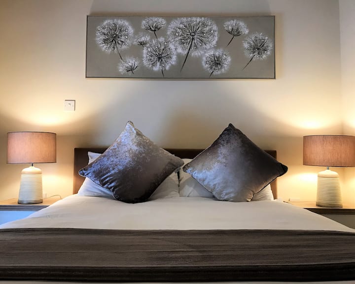 Ice House Apartment 6 - Swansea