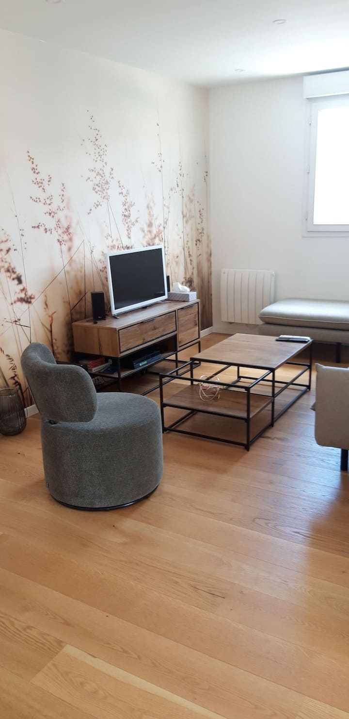 Chambre Avec Grande Terrasse - Annecy