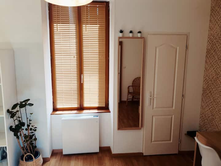 Appartement Cosy, Avec Parking Gratuit Dans La Rue - Dijon
