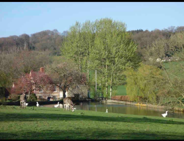 Mill Farm on the Longleat Estate - Large Family Rm - Farm stays for ...