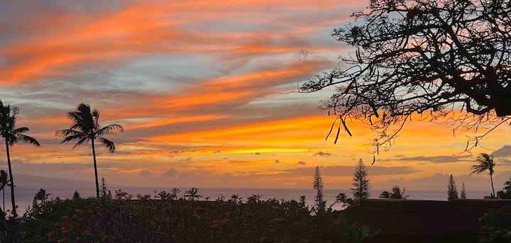 Maui, Kaanapali Plantation - The Whale Watcher - Maui, HI