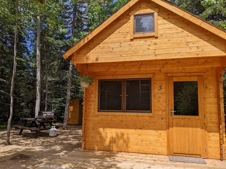 Fox Den #3 - Wilderness Cabin Near Algonquin! - Algonquin Provincial Park