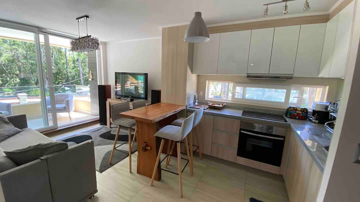 Departamento A Pasos Del Centro - Pucón