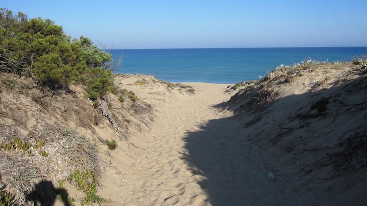 Très Bel Appartement De 80m2 à 150 M De La Plage! - Valledoria