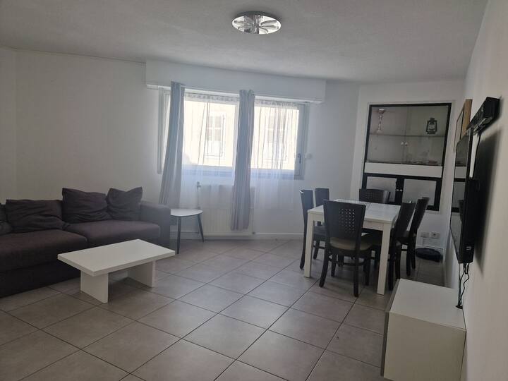 Joli Appartement Spacieux - Pau