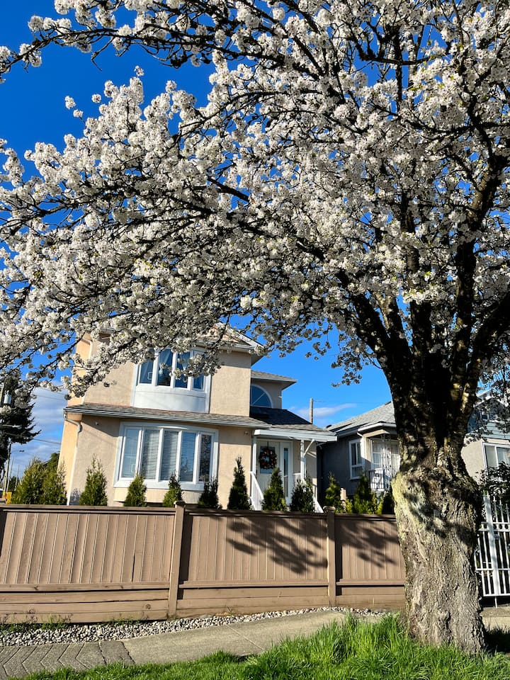 Vancouver Cozy Private Suite Near Skytrain&airport - Vancouver