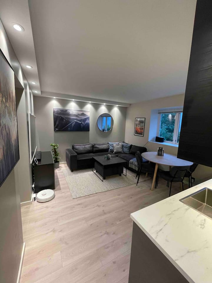 Moderne Leilighet Midt I Sentrum - Bergen