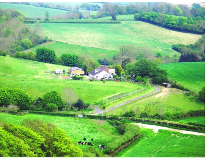 Cosy Stable Cottage In Lovely West Dorset - Bridport