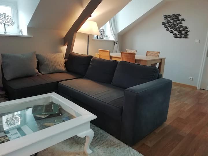 Appart Cocooning D'intra Muros à 100m De La Mer - ibis Styles Saint Malo Centre Historique