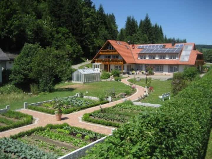 3-room-apartment - Laufenburg