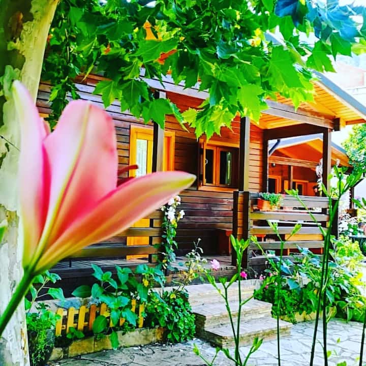 Cabañas De Madera Los Pinos En Arroyo Frio. - Arroyo Frio