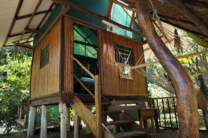 Top 10 Huts In Costa Rica: Discover Nature At Its Finest | Trip101