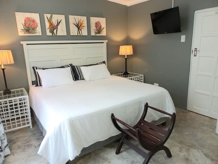 Bush Willow Suite - Villa Roc Guesthouse - Solar - Dolphin Coast