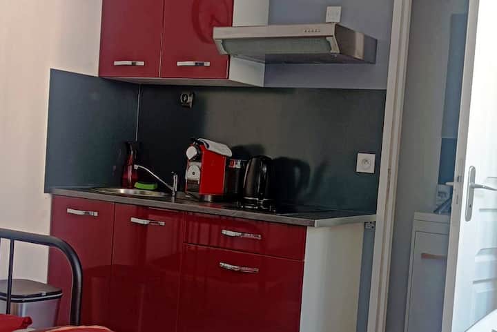 Studio Rubis Avec Terrasse - Villeurbanne