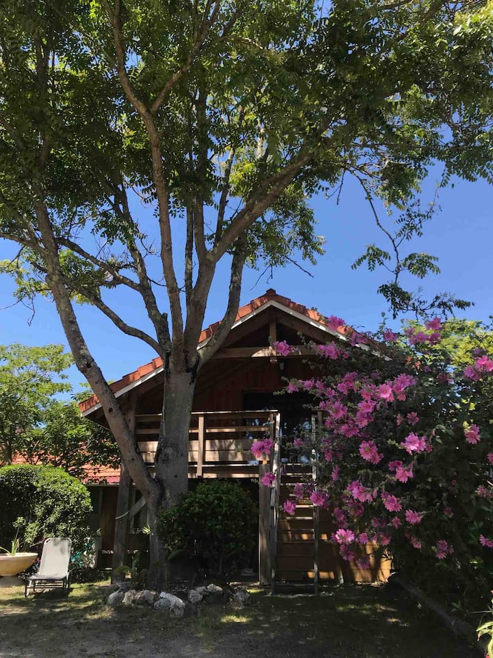 "Loft" Façon Cabane - Lacanau Océan