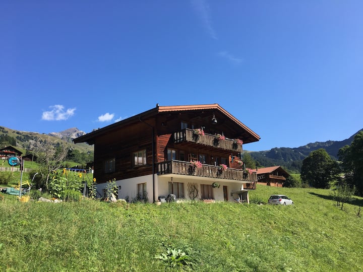 2 Zimmerwohnung, Schöne Bergsicht - Grindelwald