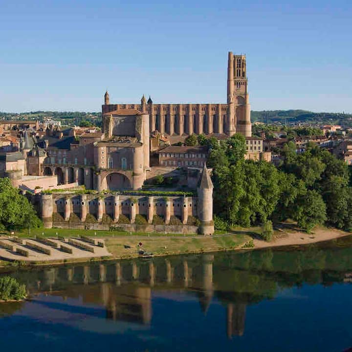 L’écrin : Studio Avec Terrasse - Albi