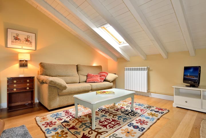 Apartamento Superior 1 Habitación - Isla