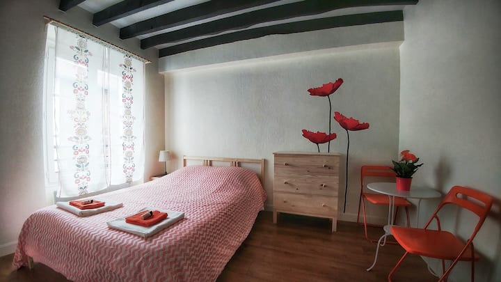 Cute Studio In Paris 15 - Paris 10e Arrondissement