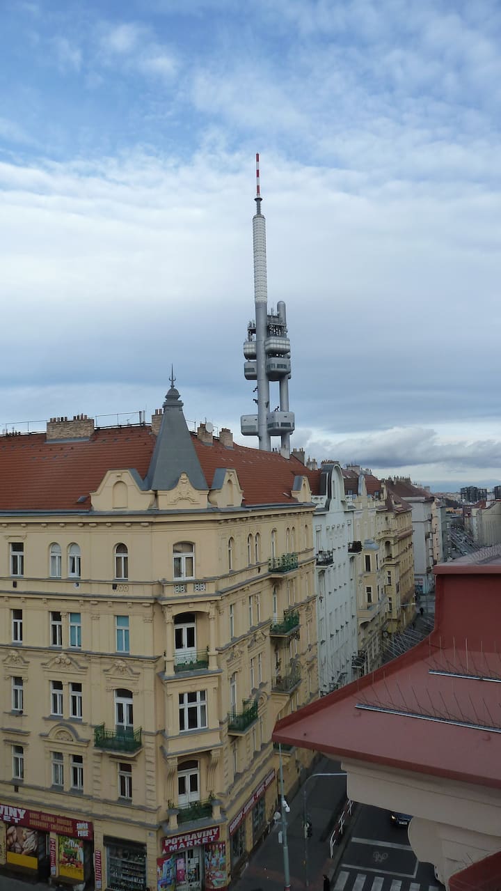 Attic Flat With 2 Bedrooms And Kitchenette - Czechy