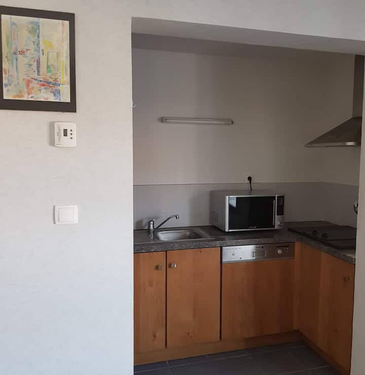 Appartement Stanislas-meurthe - Nancy