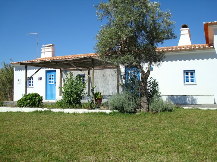 Monte Da Pereira - Casa Rural Em Espaço Tranquilo - Vila Nova de Milfontes