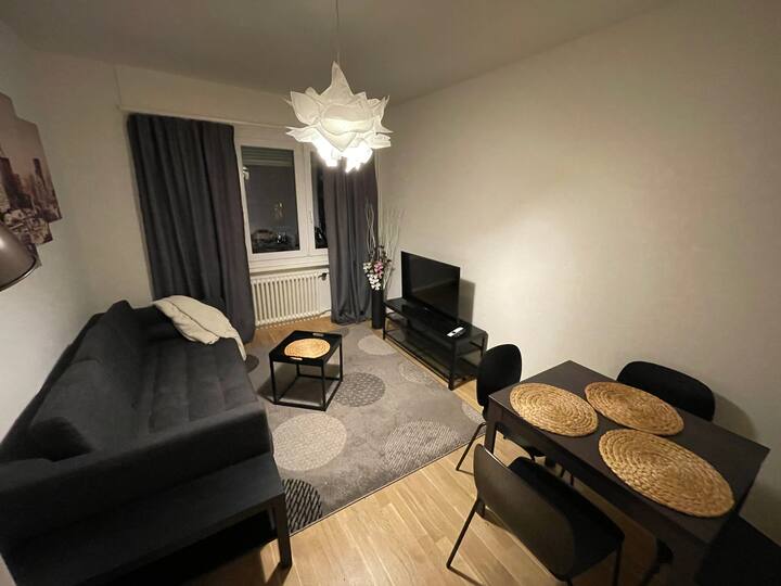 Nice Apartment Near The Lake And United Nations - Ginevra