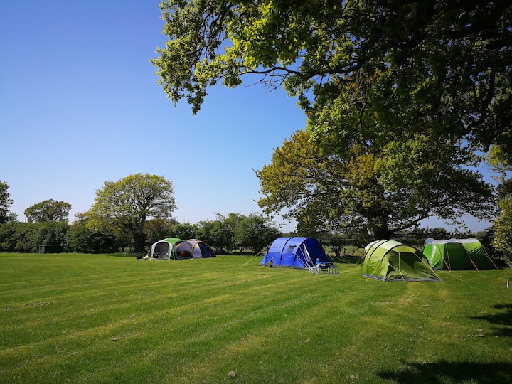 Tent Pitch - Felixstowe