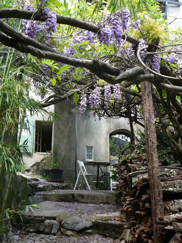 Sauve, Centre Historique : Maison à La Glycine - Sauve