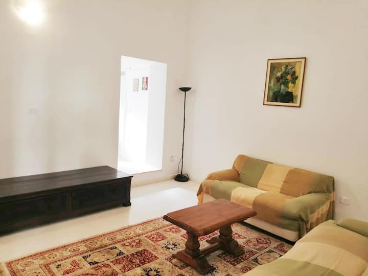 Chaleureux Appartement Rénové, Centre Ville - Tunis