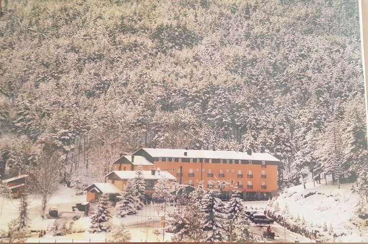 Retiro Junto El Bosque - Alp, Catalonia