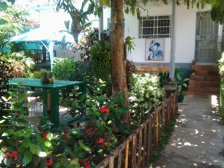 El Jardín De Marisol. B&b, Paseo A Caballo Y Bici - Vinales