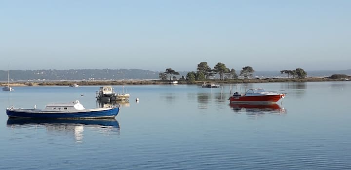 Charmant Duplex Au Coeur Du Cap-ferret - Cap Ferret