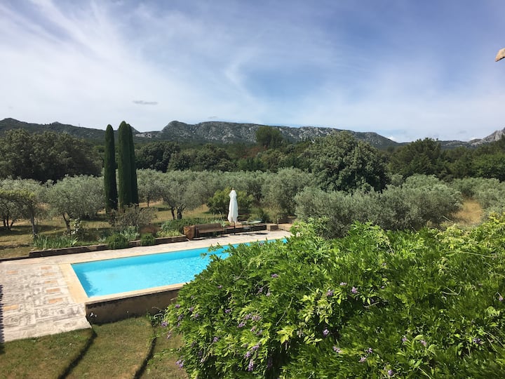 Provence, Eygalières, Saint Rémy, Splendid Mas. - Eygalières