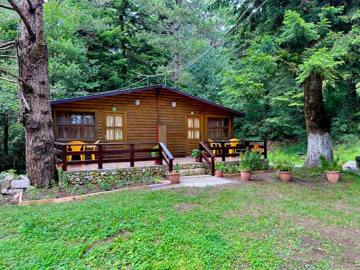Uji I Panjes Log Cabin #7 - Dhërmi