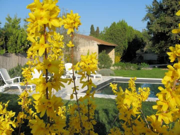 Au Mas De Petit Jean - Saint-Rémy-de-Provence