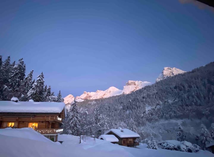 Chalet/appartement De Montagne/ski - Le Chinaillon