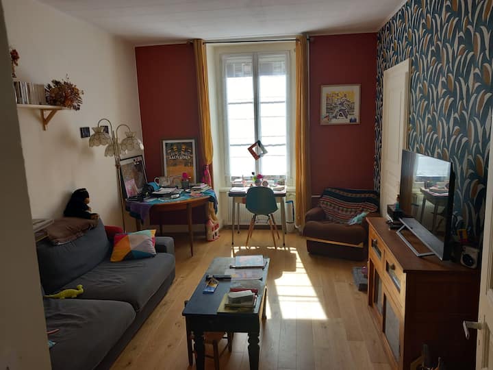 Centre Ville - Chambre Dans Grand Appartement - Estrasburgo