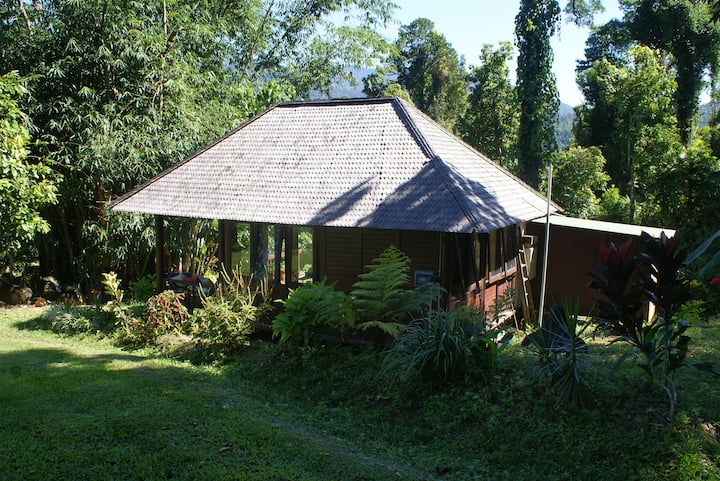 Unique Bali Hut In The Rainforest - Silkwood