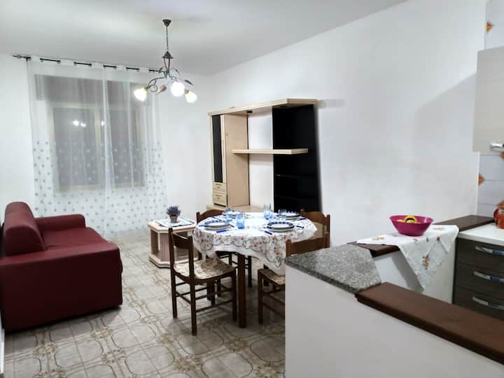 Miami Residence Apartments - Praia a Mare