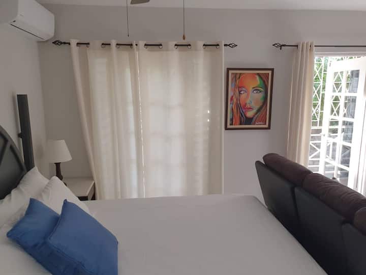 Cozy 1 Bedroom Studio Apartment With Free Parking. - Kingston