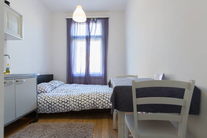 Central Zagreb Apartment - Zágráb