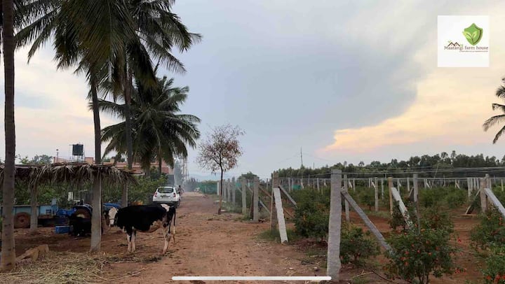 Maatangi Farm House - Chikkaballapur