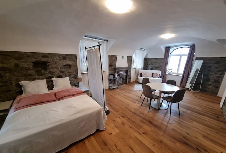 Wunderschönes Studio Mit Tessiner Charme - Locarno