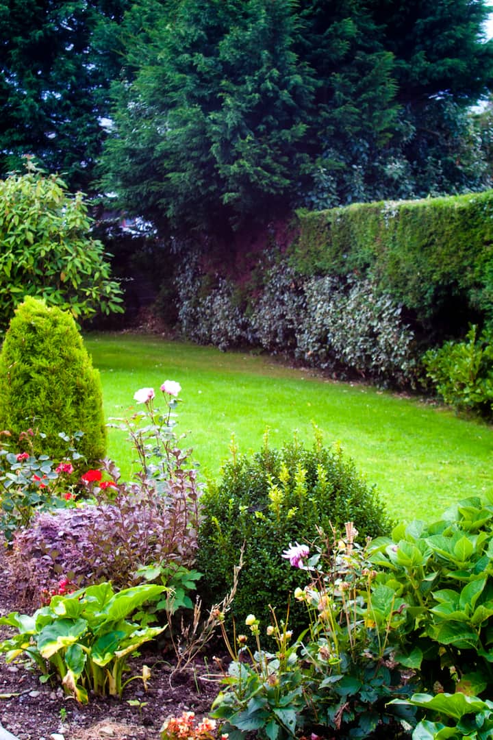 Quiet Cul De Sac In The Heart Of Westport Quay! - Ireland