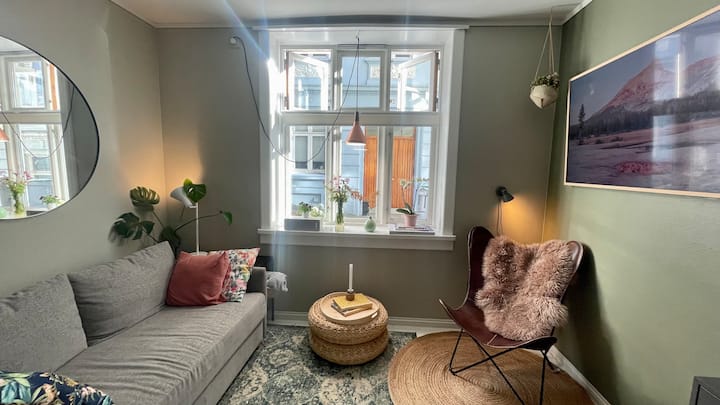 Smart Minileilighet I Hjertet Av Bergen - Bergen, Norway