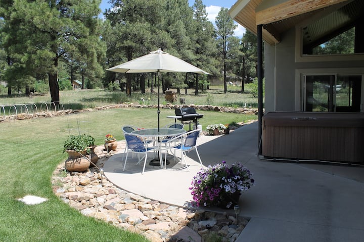 Free $50 Gas Card-delightful Getaway W/ Hot Tub! - Pagosa Springs, CO