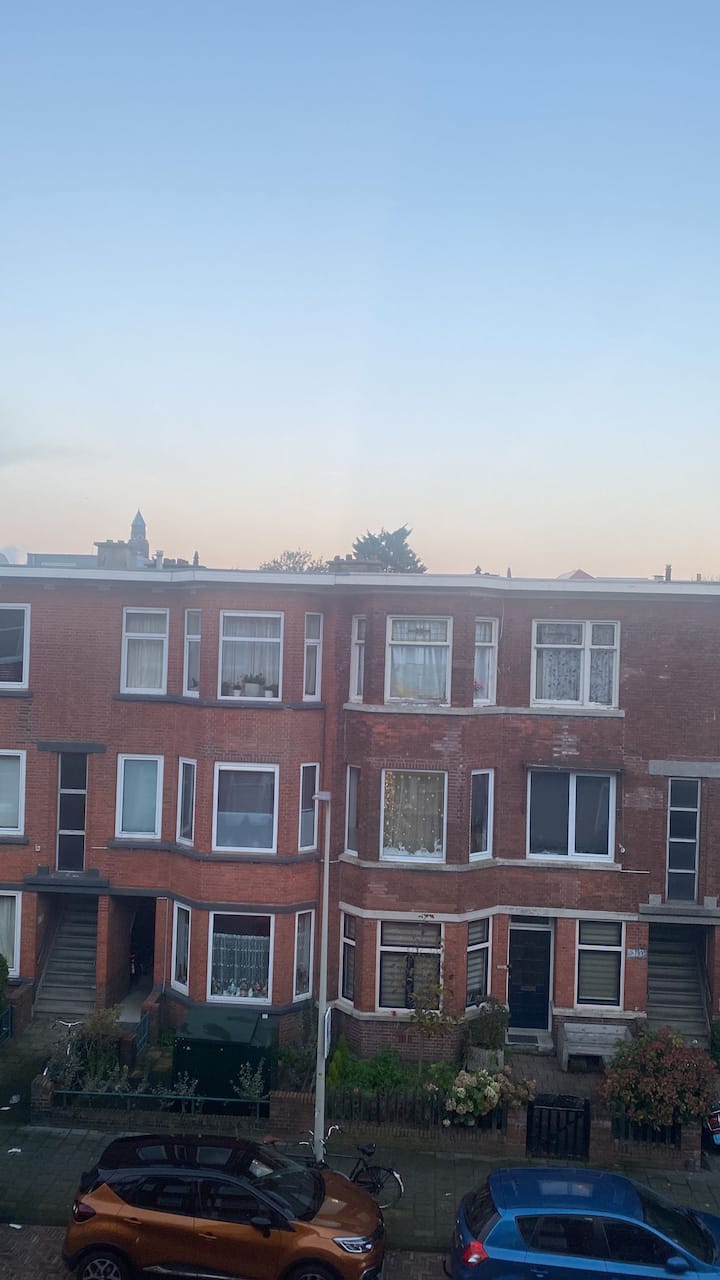Lovely Rooftop Rental Unit - Delft
