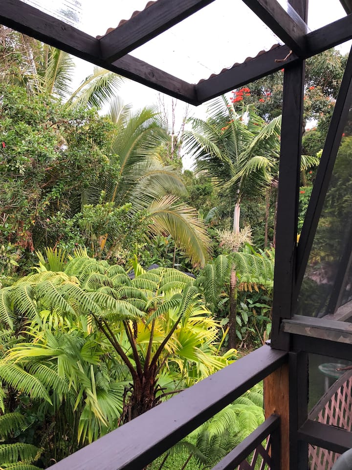 East Hawaii Jungle Suites: Treehouse Cottage - Pahoa, HI